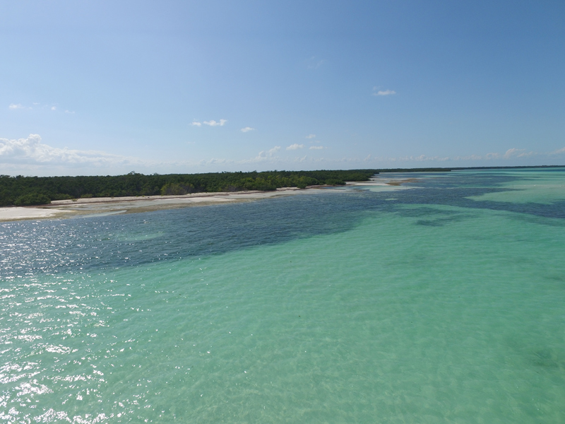Frenchman's Caye - Emerald Futures Real Estate